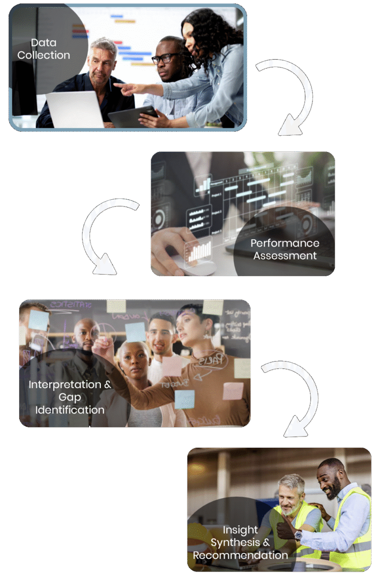 Project Management Consulting